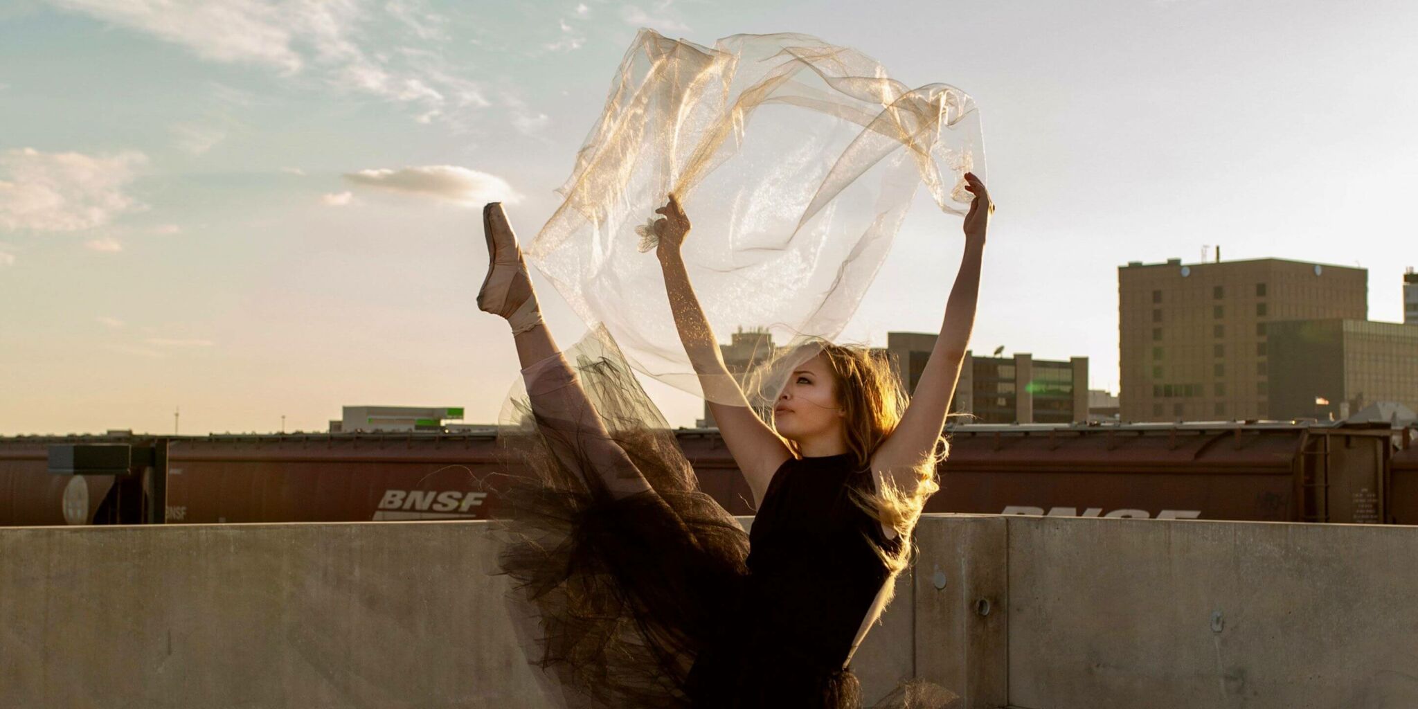 Ballet Wichita - Kansas Department of Commerce