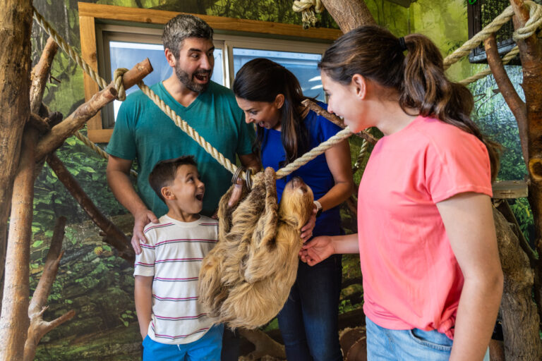 Kansas Tourism Unveils its 2025 Kansas Travel Guide - Kansas Department ...