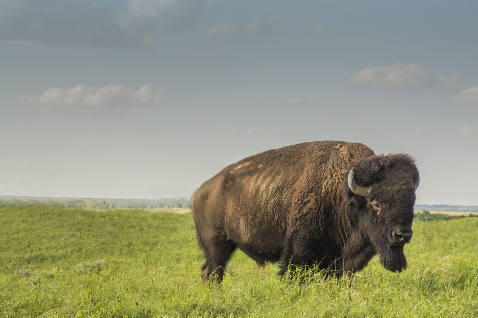 Kansas Tourism Shares Video Campaign Celebrating Kansas’ 165th Birthday ...